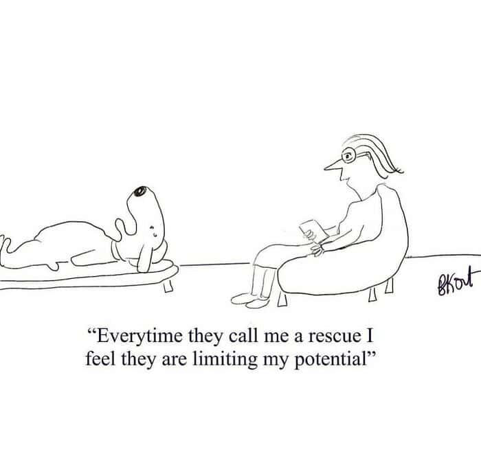 30 Delightfully Simple SIngle-Panel Comics From Hilarious Artist ...