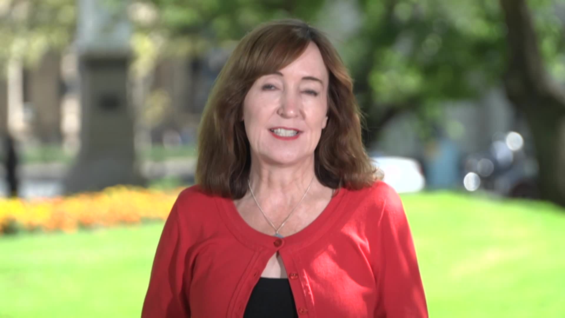 Toxic microalgae causing mass death of marine life on South Australian ...