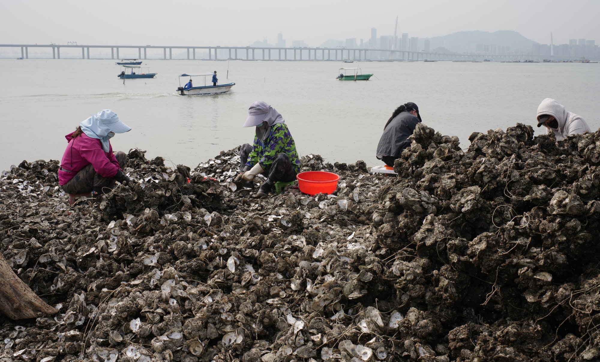 Why lack of clear vision is holding back Northern Metropolis’ future