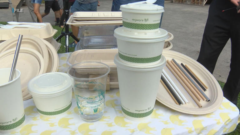 Hawaii County seeks vendor for Hilo Reusable Foodware Program