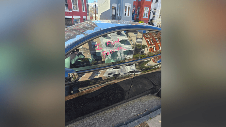 Tesla owners more vigilant after recent vandalism cases in DC