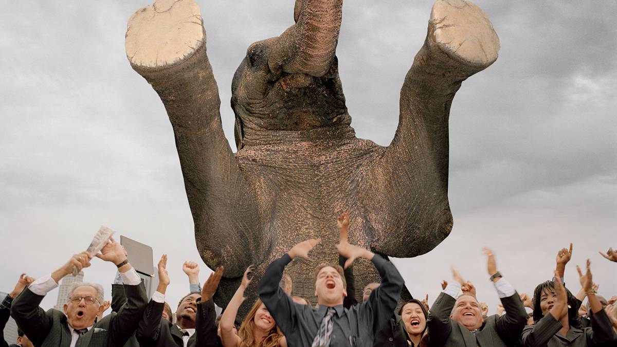 Koba confident of economic discovery in uranium elephant country