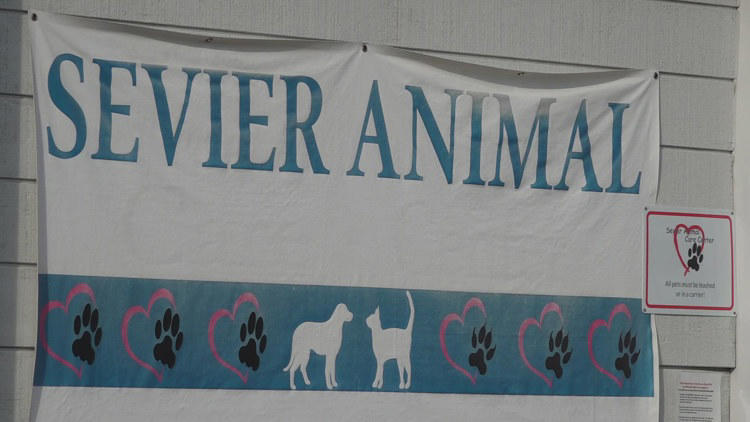 Sevier Animal Care Center finds new home after 6 years in cramped garage