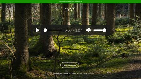 Web-Tipps: In den Wald horchen