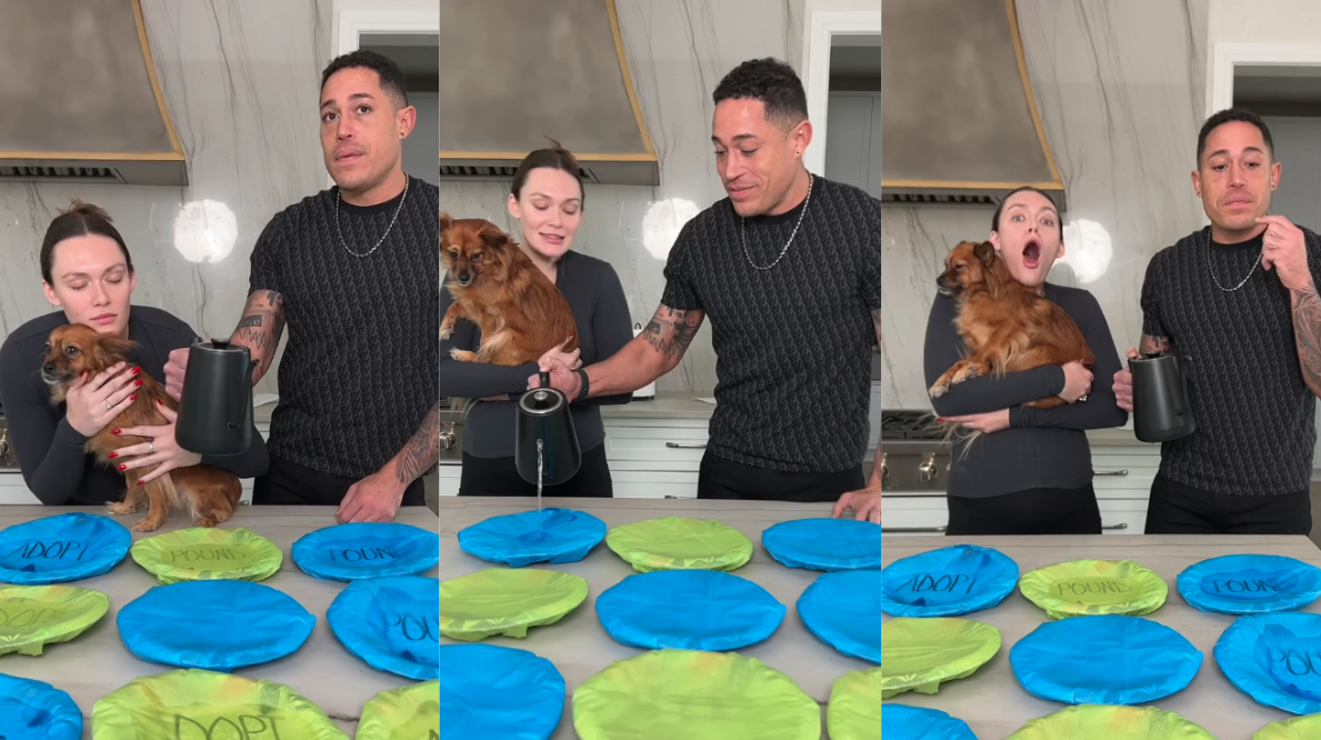 They Put Their Dog’s Fate in a GAME?