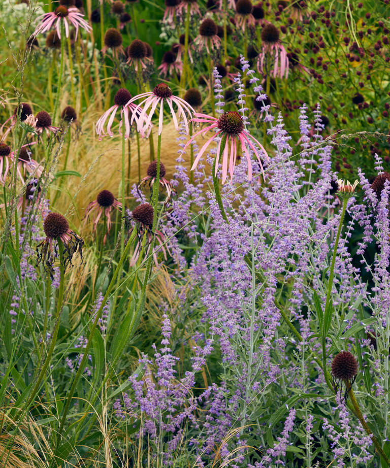 This simple 3-plant formula is the secret to an elevated backyard