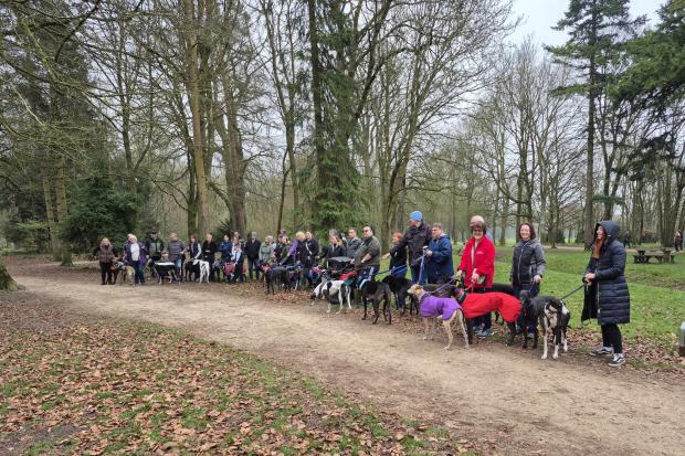 First walk of Swindon greyhound group hailed a huge success