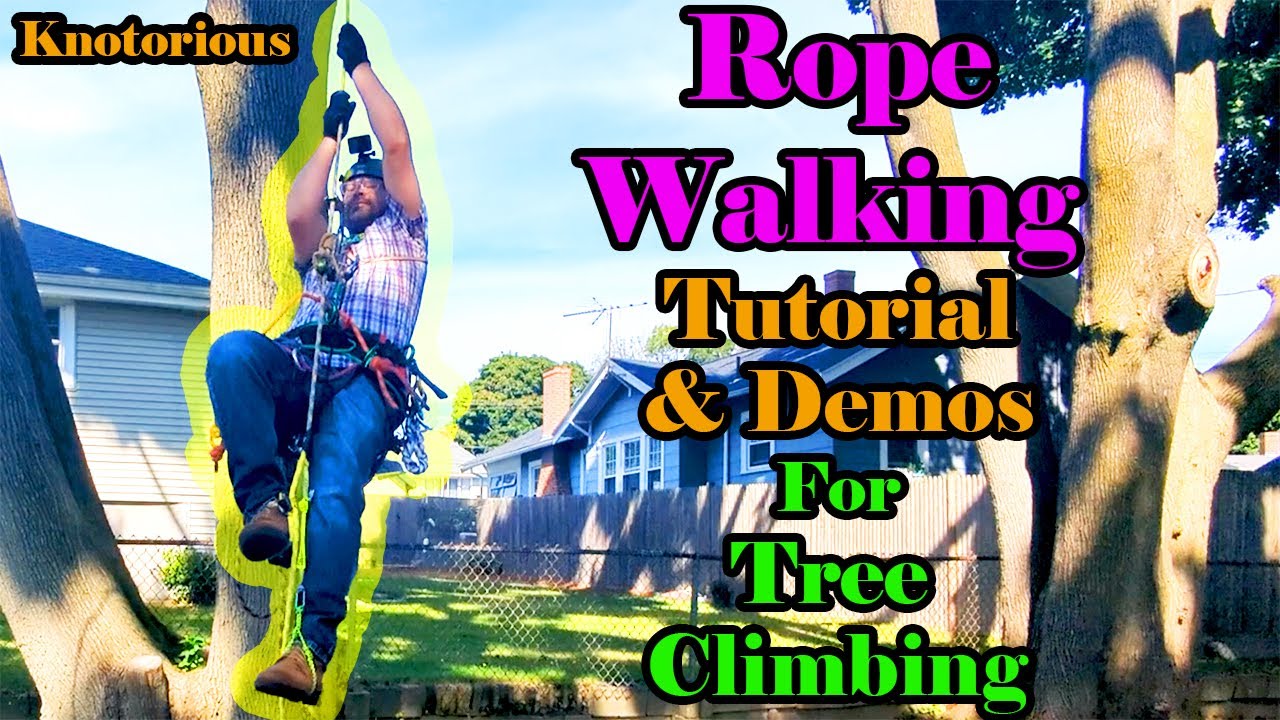 Rope Walking: A Complete Tutorial & Demonstration for Tree Climbers ...