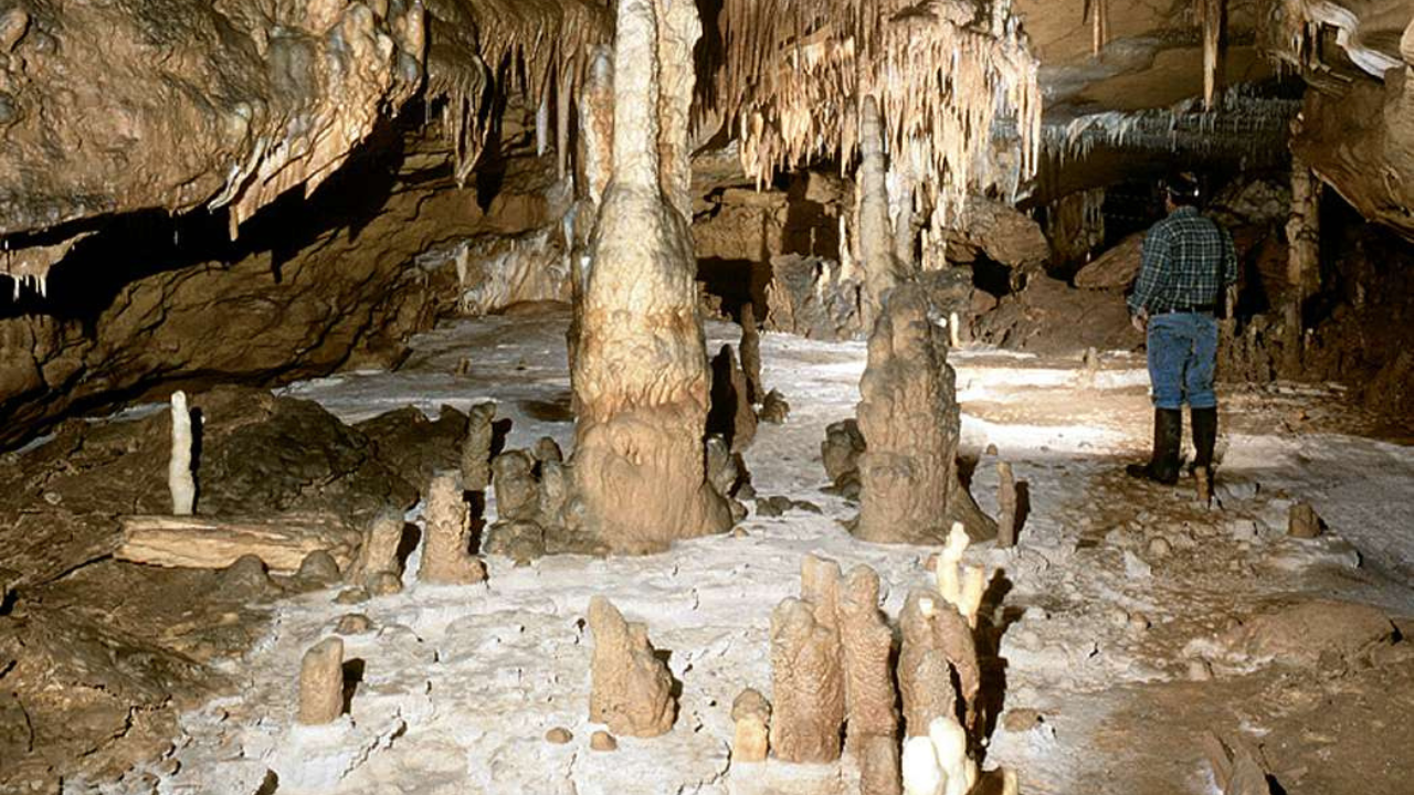 In pics: Grotte de Cussac, a French ancient cave where humans lived ...