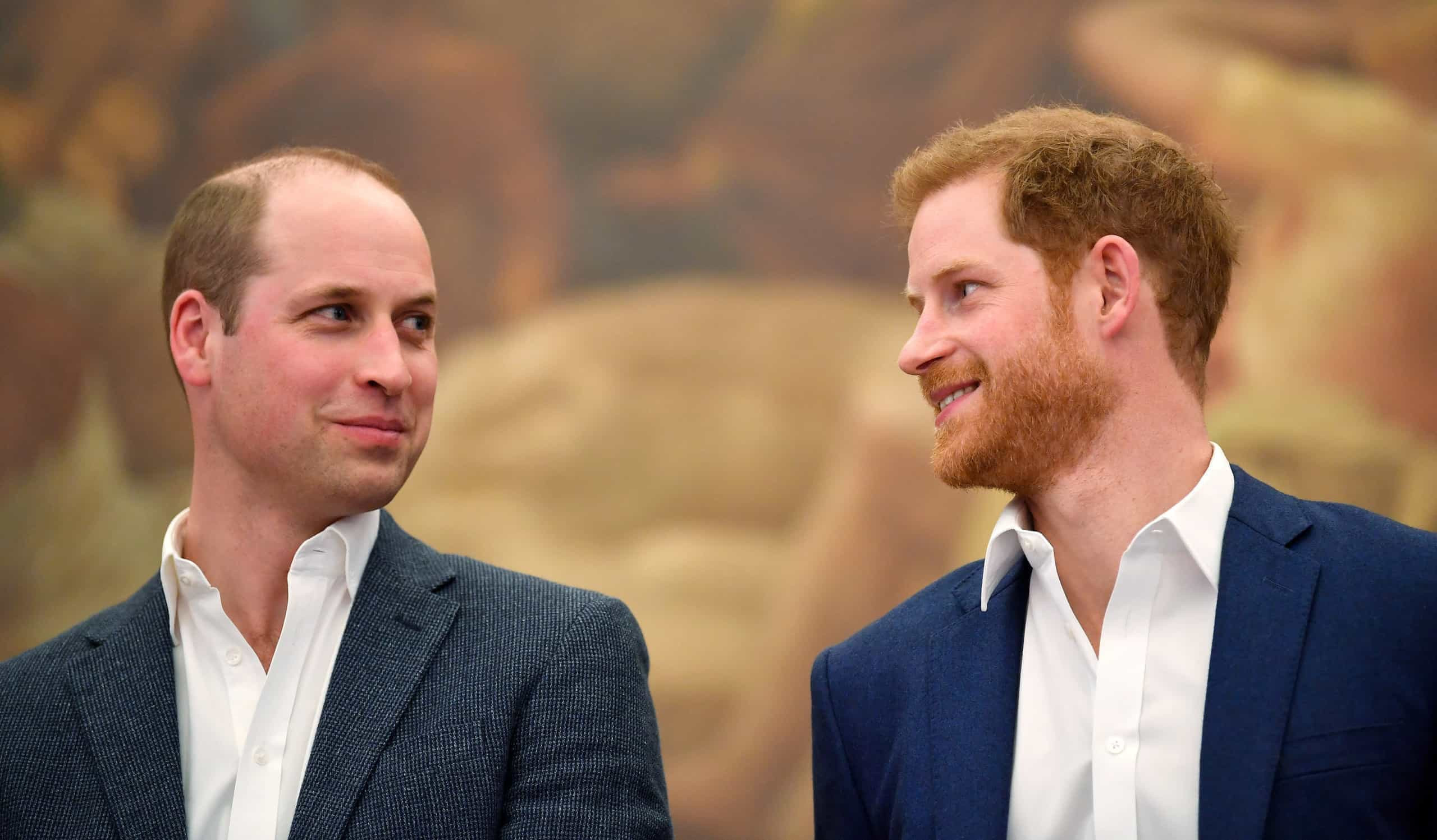 Sie waren unzertrennlich: Bilder von Prinz William und Prinz Harry in ...