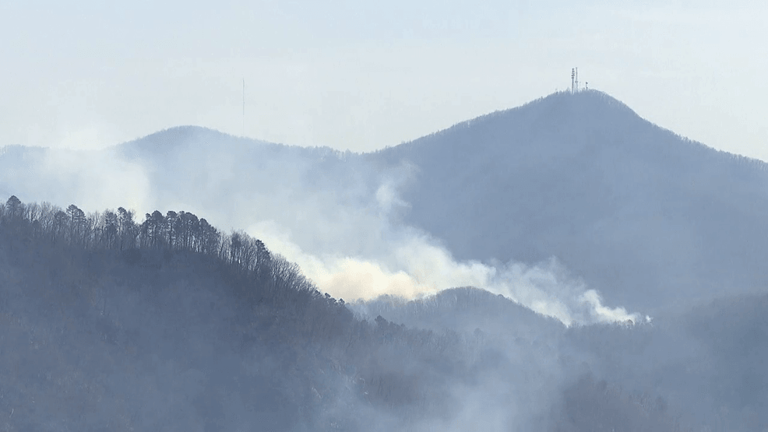 Black Cove and Deep Woods fires grow, Fish Hook fire containment increases