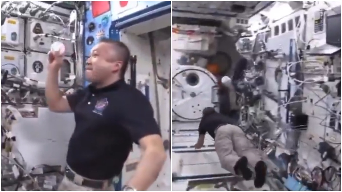 Elon Musk shares video of astronaut Koichi Wakata playing solo baseball ...