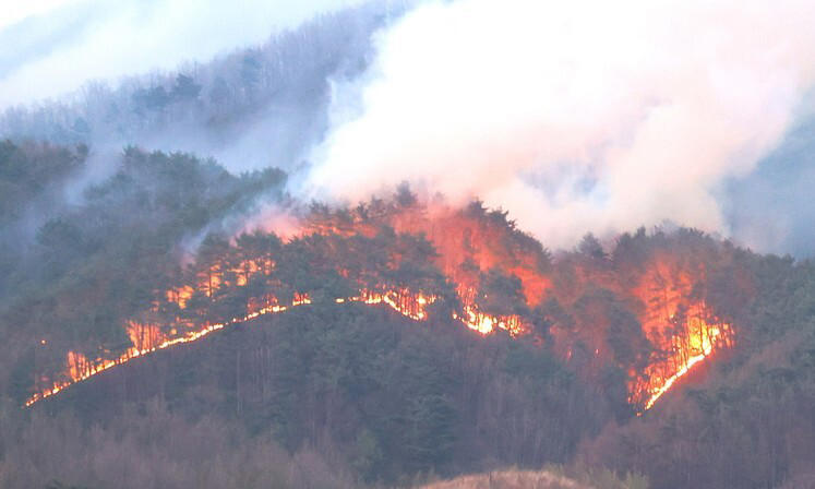 결국 지리산국립공원 옮겨붙은 산불…“불길 잡기 어려워”