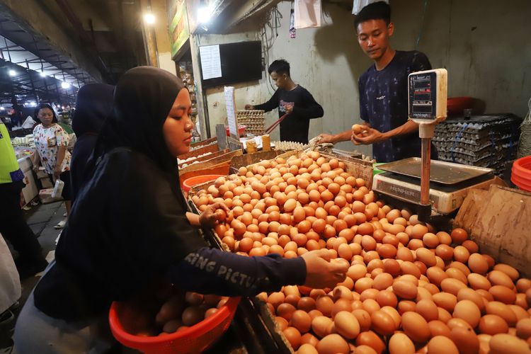 Produksi Telur Ayam Ras Capai 6,4 Juta Ton dan Kebutuhan Bulanan Hanya ...