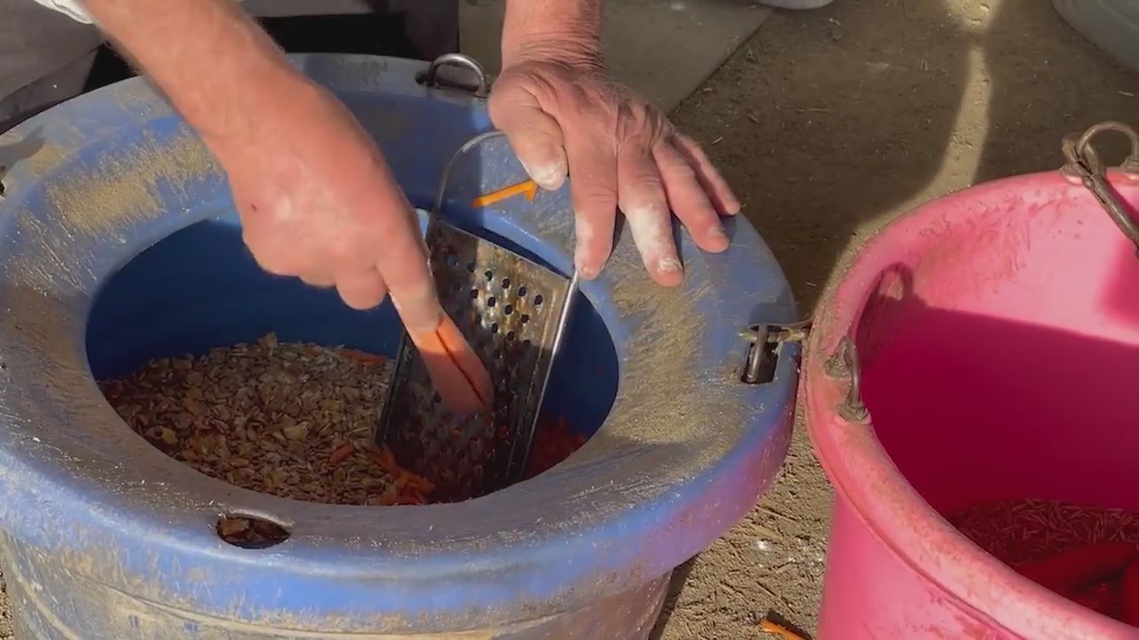 Horse racing at Alameda County Fairgrounds ends