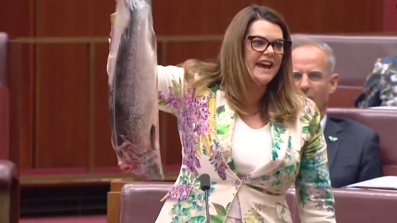 'Extinction salmon': Australian senator pulls out dead fish in ...