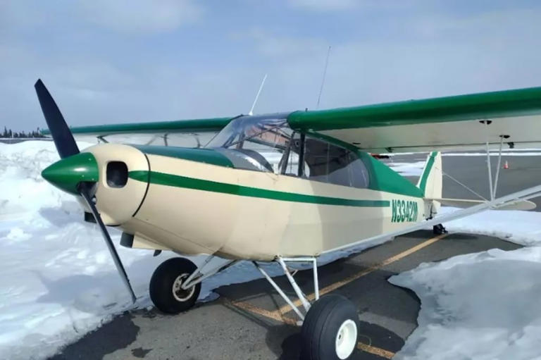 Pilot and 2 girls miraculously survive plane crash by clinging to wing ...