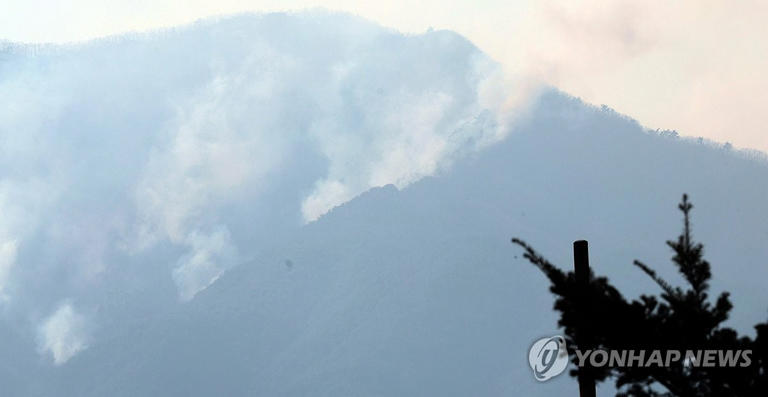 '제1호 국립공원 사수하라'…산청 산불 지리산 확산 방지 안간힘