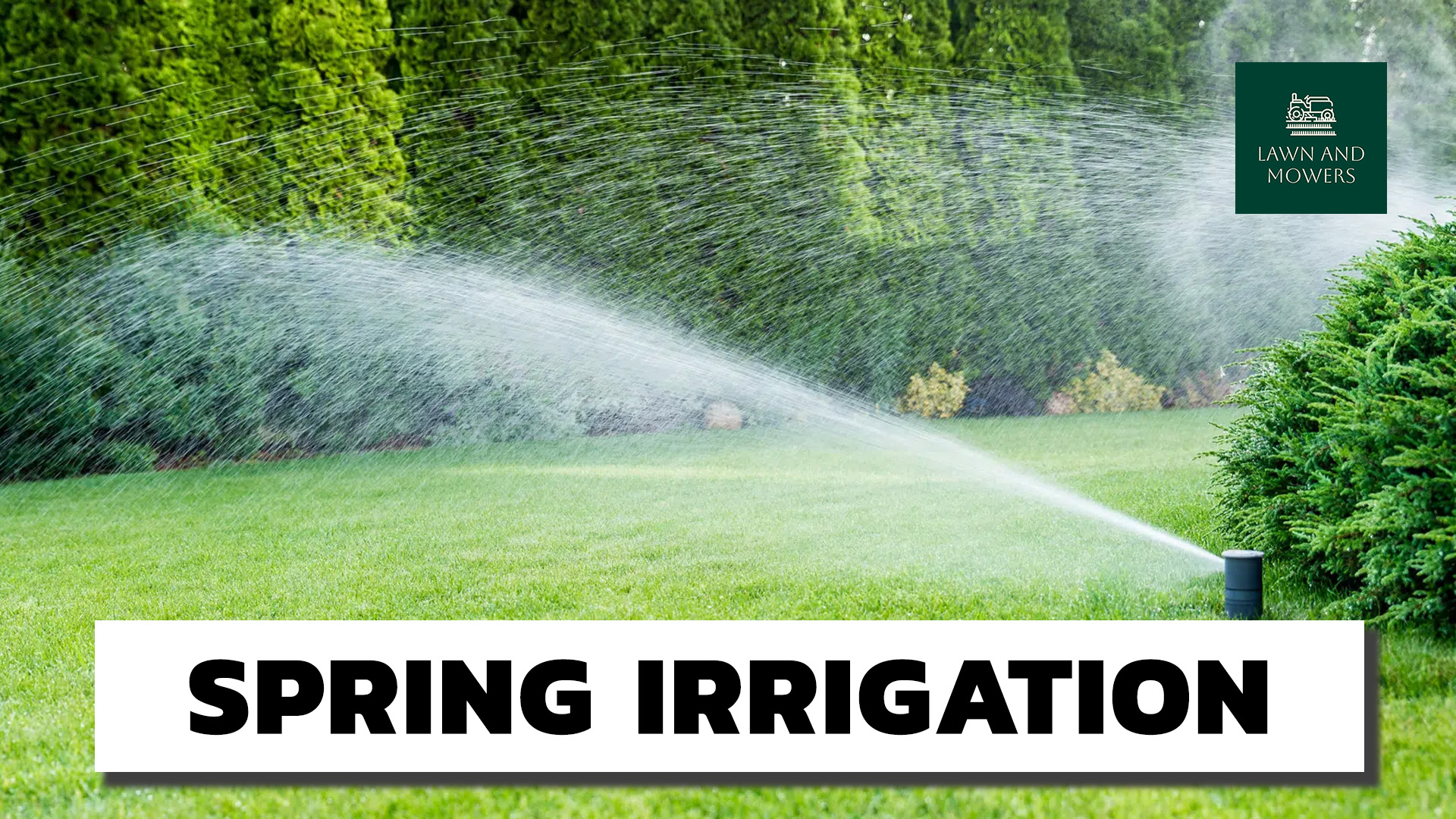 Spring Irrigation Guide - How to Water Your Correctly