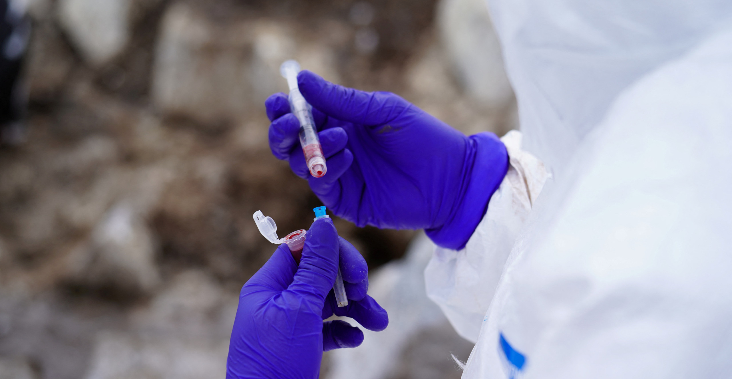 Bird flu 'has the potential to became a pandemic,' experts say