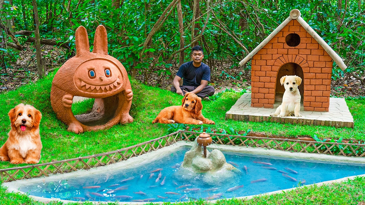 BUILDING the Ultimate Dog Playground and Fish Pond for Red Fish