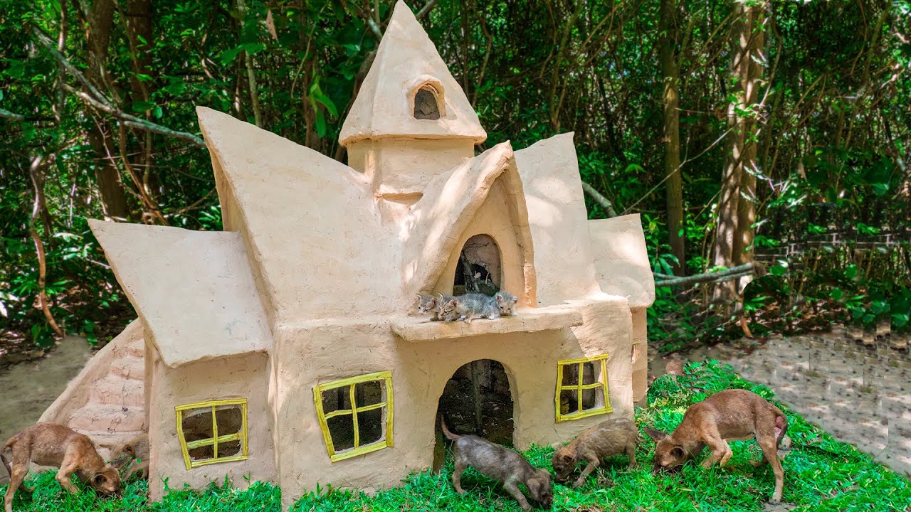 Rescuing newborn kittens & building mud house cat and dog house