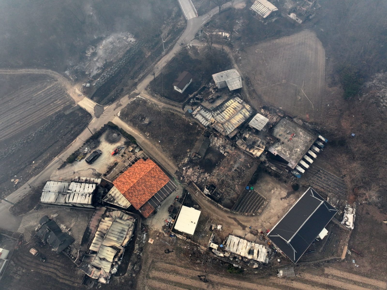 Death toll rises to at least 24 as wildfires rage in South Korea