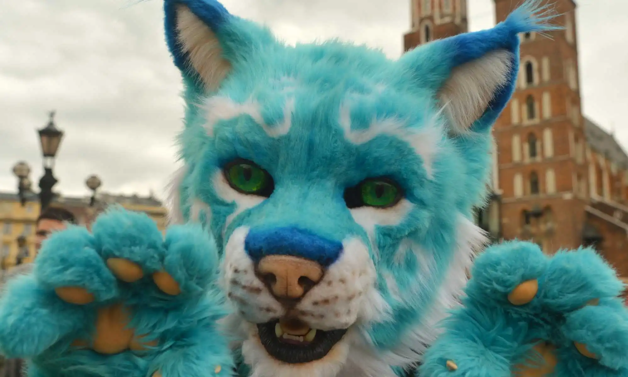 Texas GOP lawmaker introduces Furries Act after falling for the litter ...