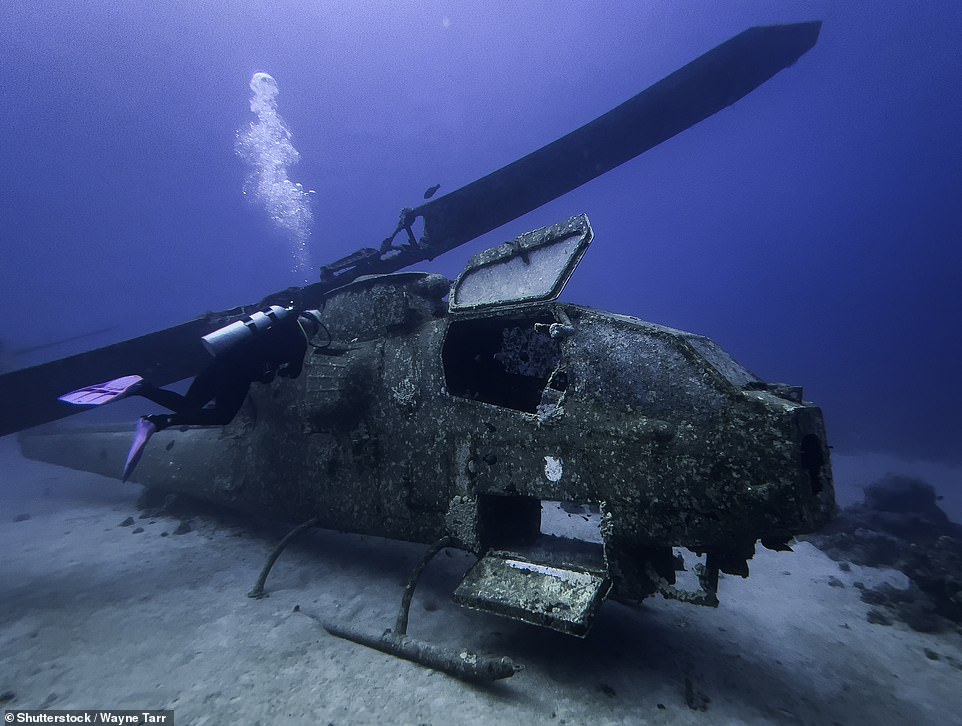 Dive into the world's most breathtaking underwater attractions
