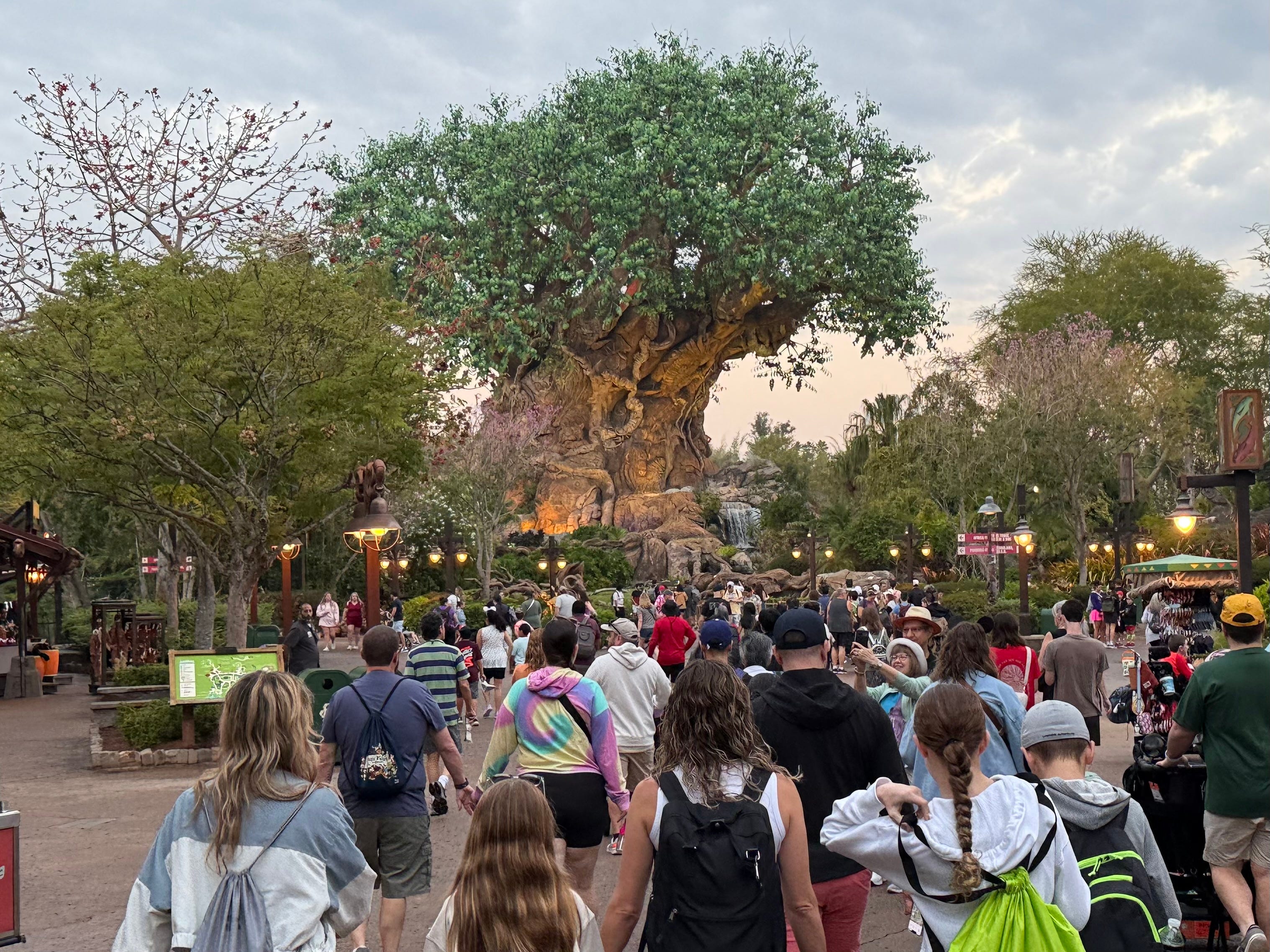 Disney World cuts prices for kids' tickets this summer