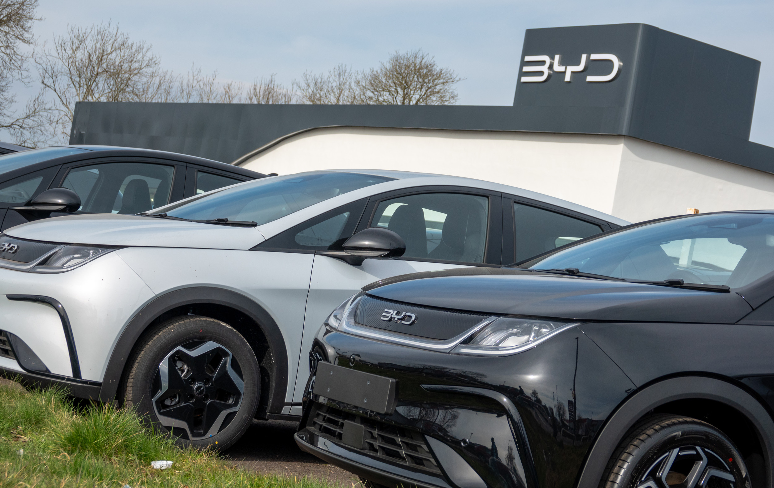 Chinese Tesla Rival BYD Looks to Double Overseas Sales