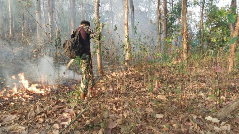 ไฟไหม้ป่าแม่แจ้ฟ้าหนักมาก ลุยดับ 4 ชั่วโมง วอดแล้วกว่า 70 ไร่