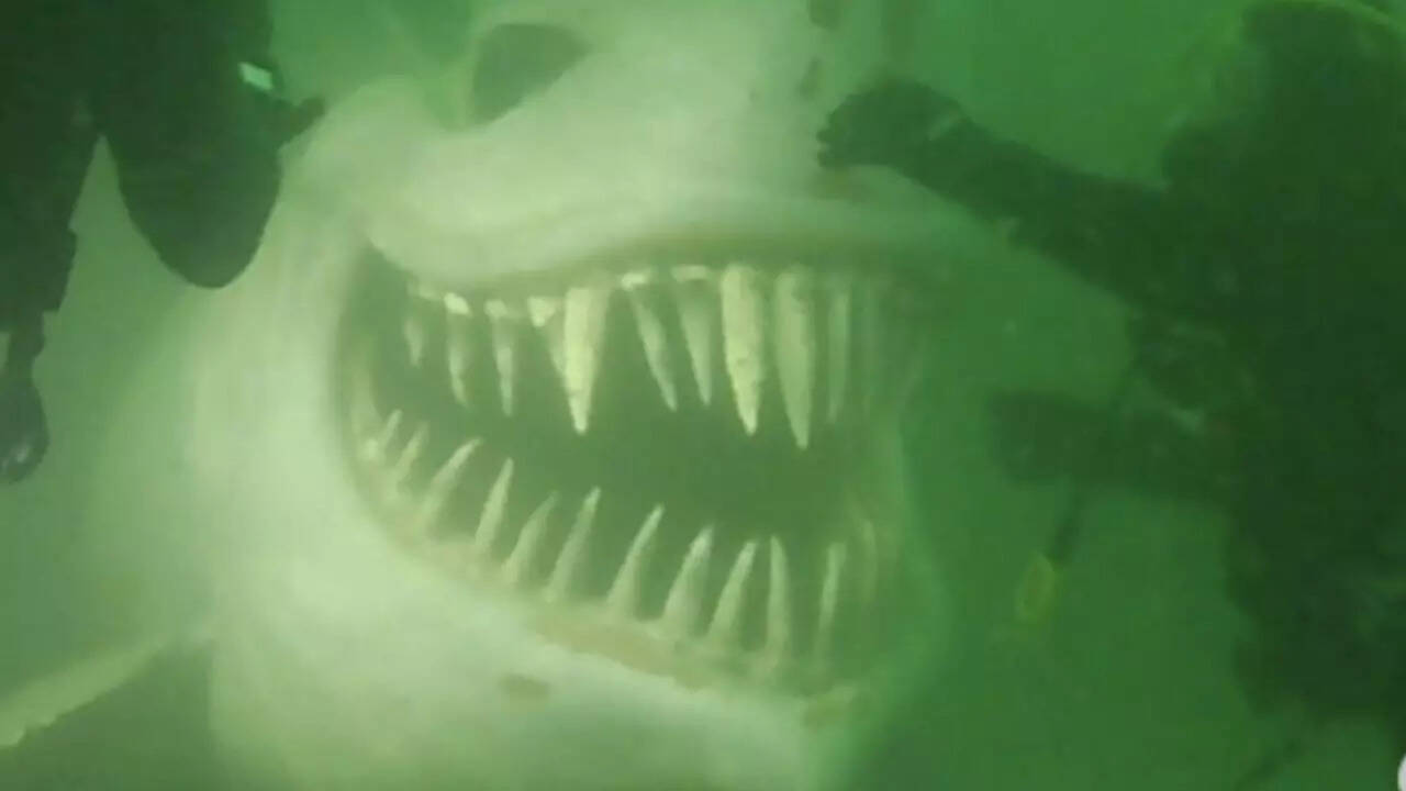 Diver’s Worst Fear? Scary Shark Statue Lurking In Swiss Lake Resurfaces ...