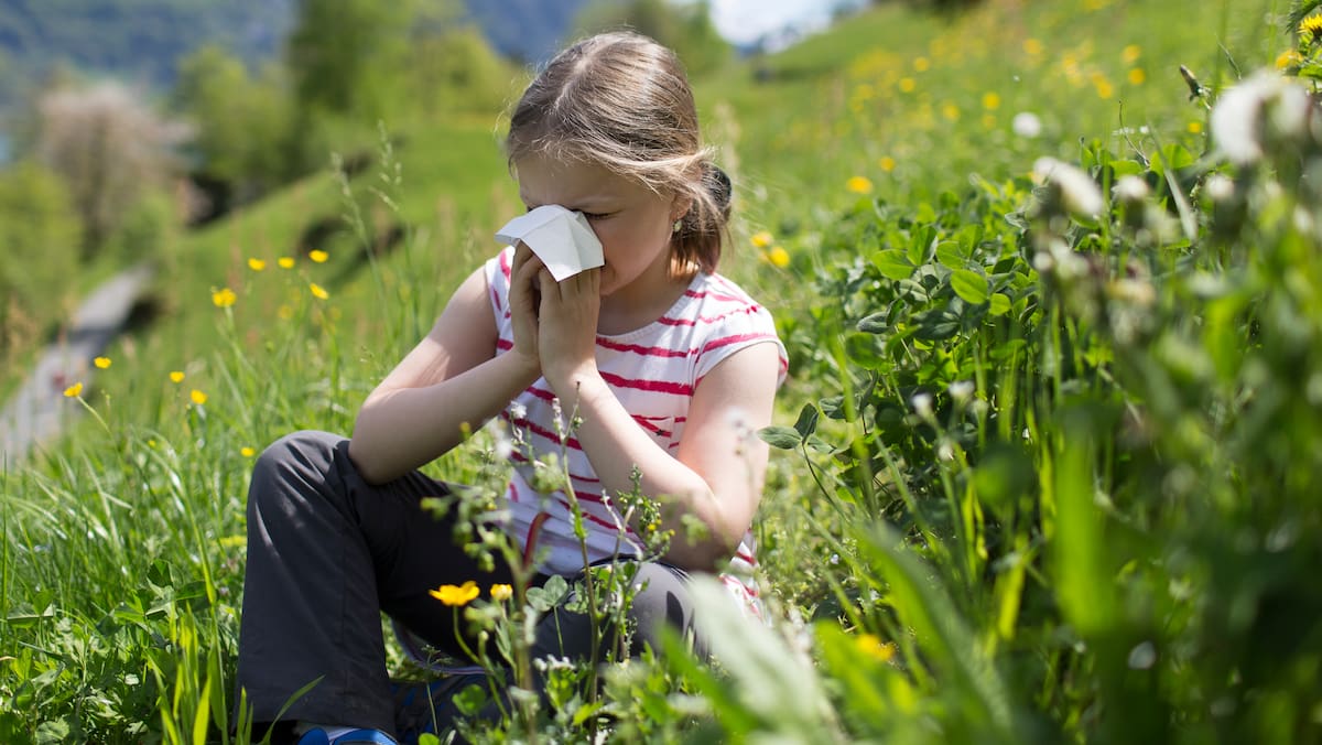 Pollenallergie auf dem Vormarsch – Experte warnt: «Heuschnupfen scheint ...