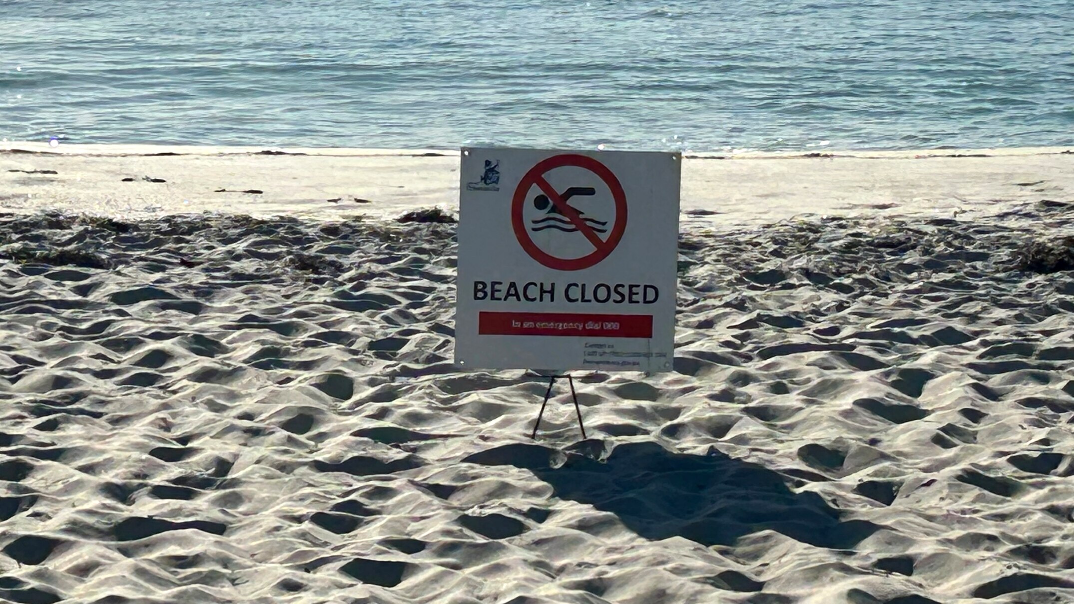 Swimmer bitten by tiger shark at Fremantle's Sandtrax beach