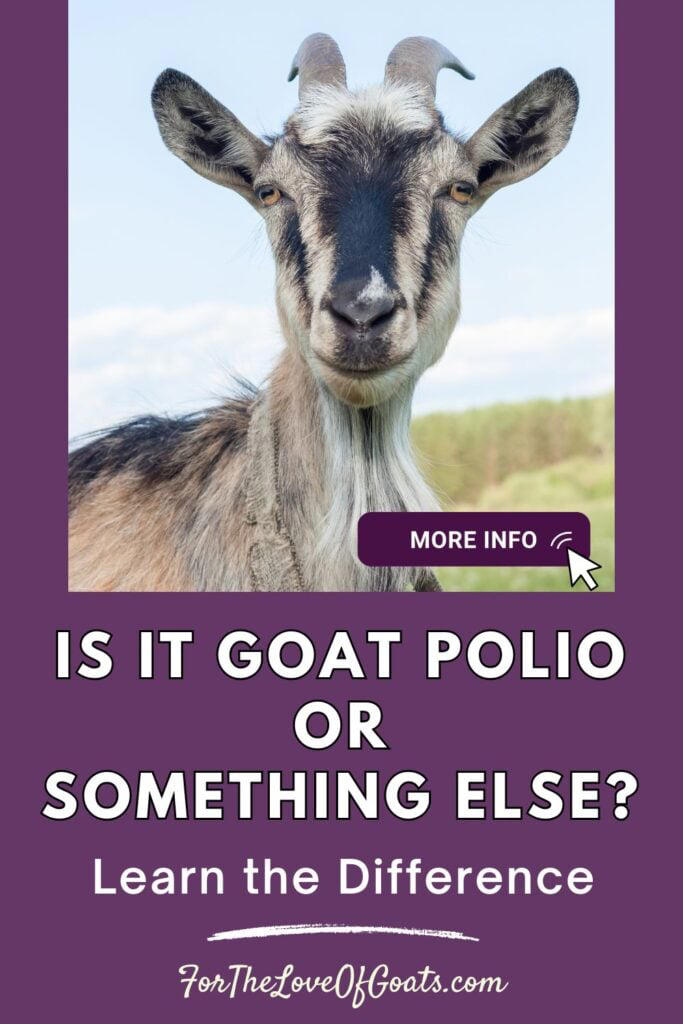 Understanding Goat Polio: Causes, Symptoms & Treatments