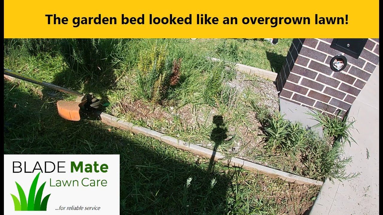 Turning Jungle to Garden with One Powerful Whipper Snipper