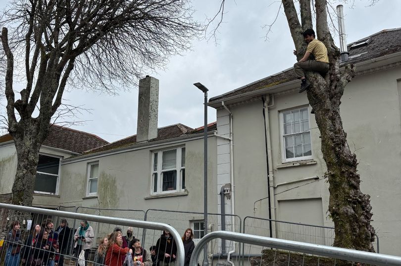 Protester climbs tree as police threaten arrests if campaigners do not move