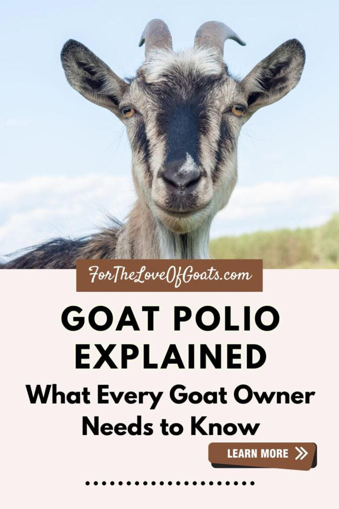 Understanding Goat Polio: Causes, Symptoms & Treatments