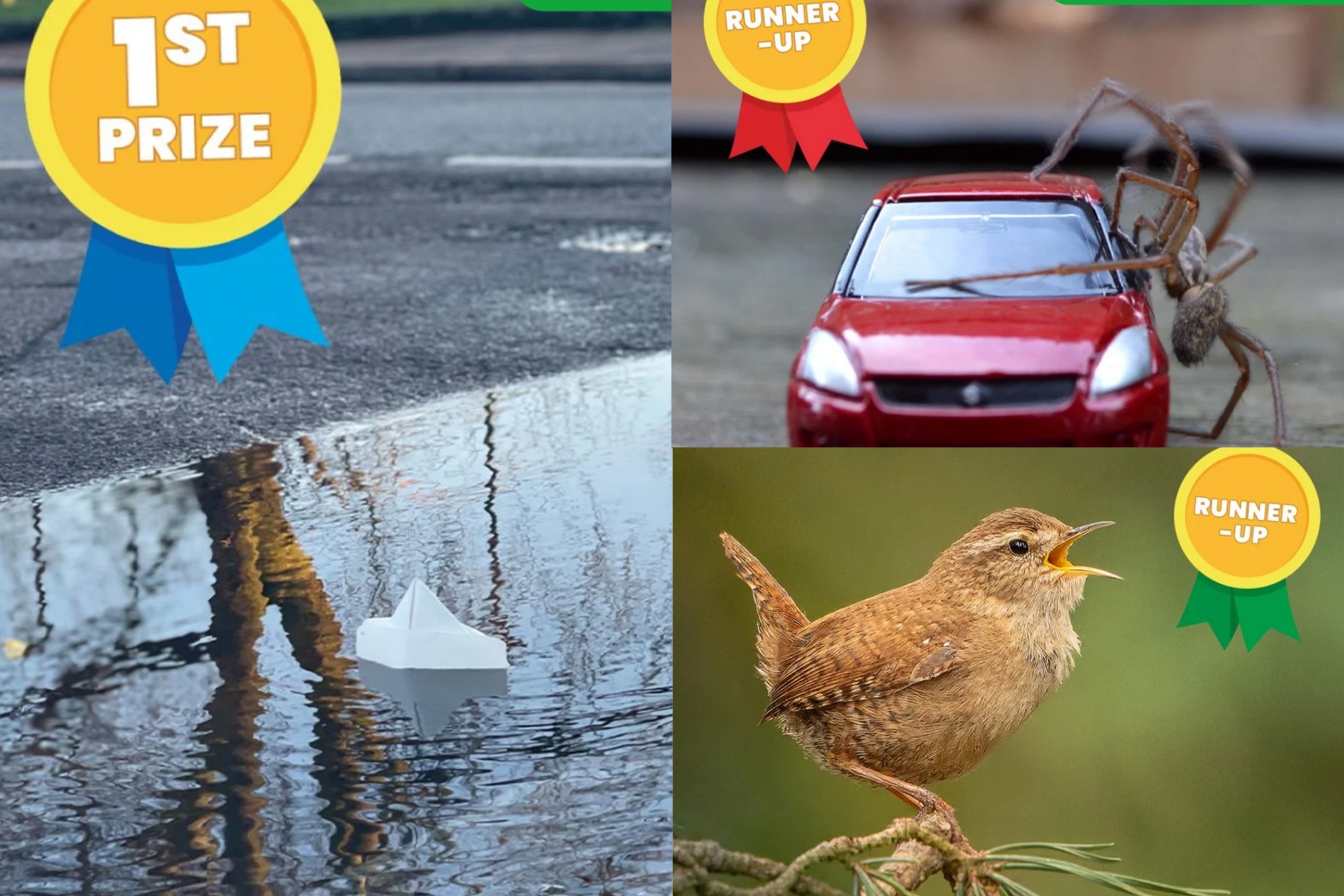 National Trust photo competition: Young photographers invited to ...