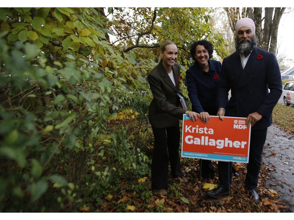 JOHN DeMONT: A selfless NDP warrior who helps keep our election system ...