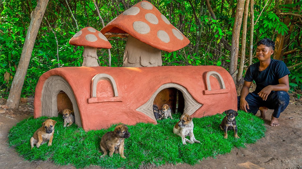 He found an abandoned dog in the wild and built her a hidden mud home ...