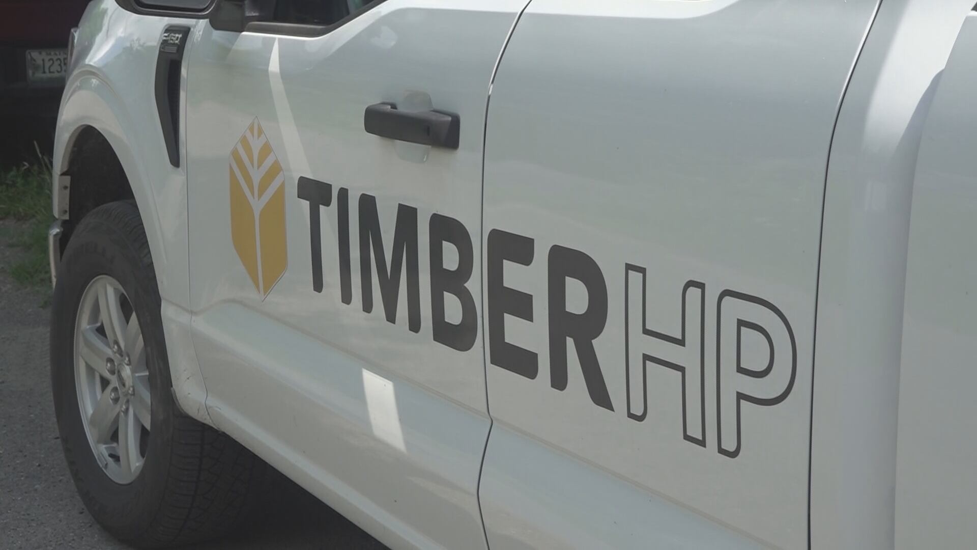 Timber HP files for bankruptcy