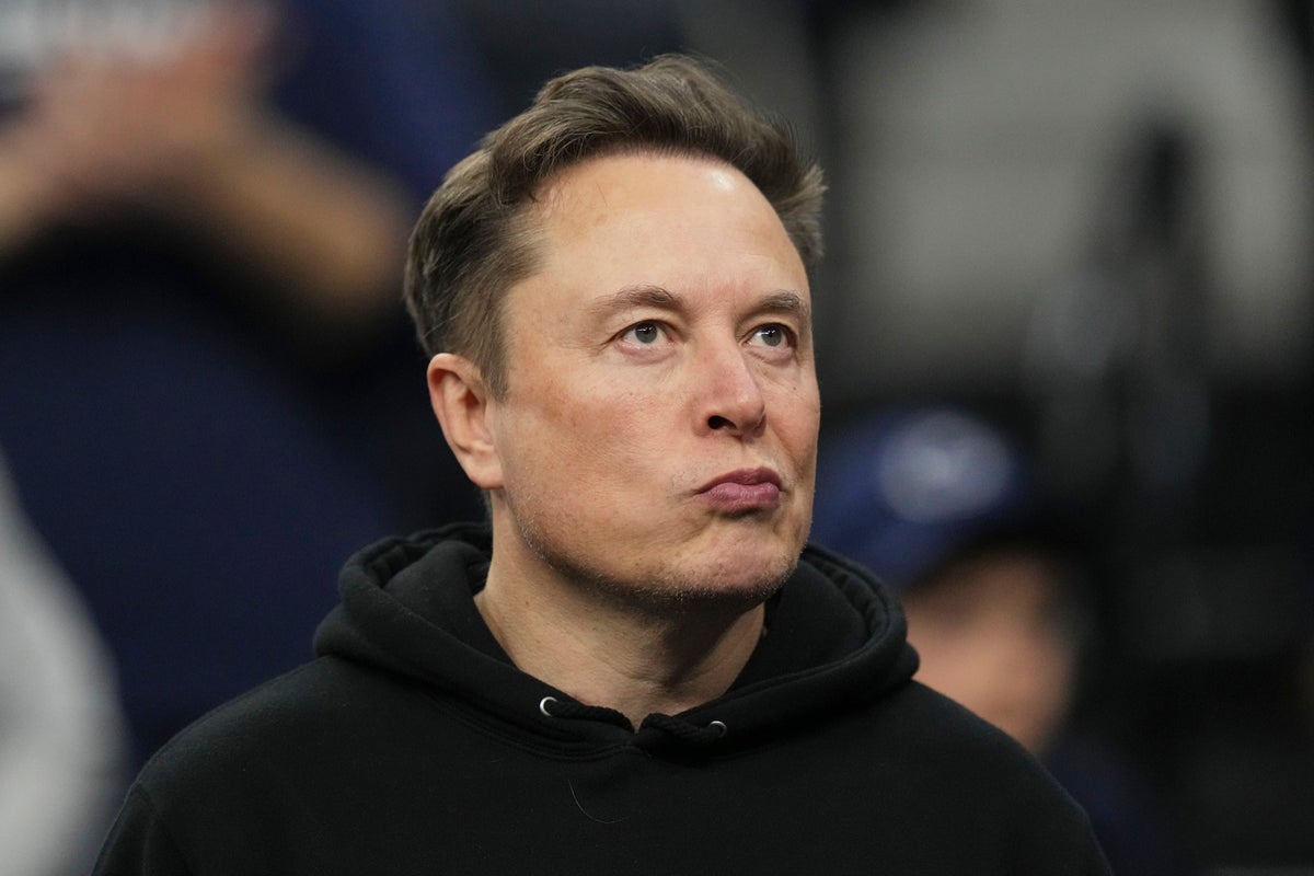 MAGA activist issues blunt response to Elon Musk after shock Democratic ...