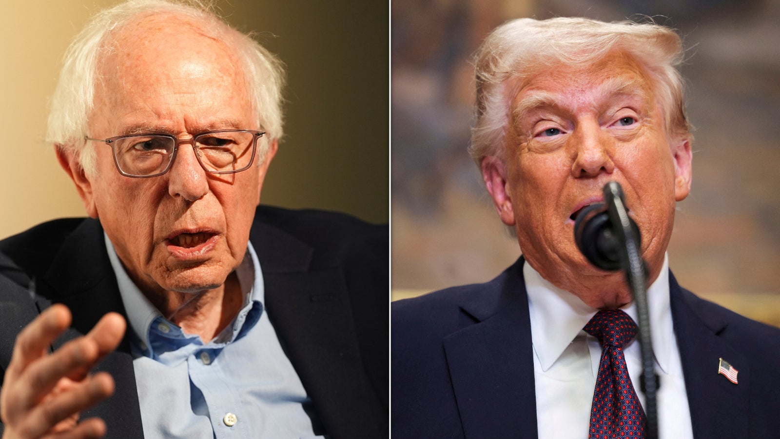 Bernie Sanders Gives Trump A Scathing Reminder Over Targeting Of ...