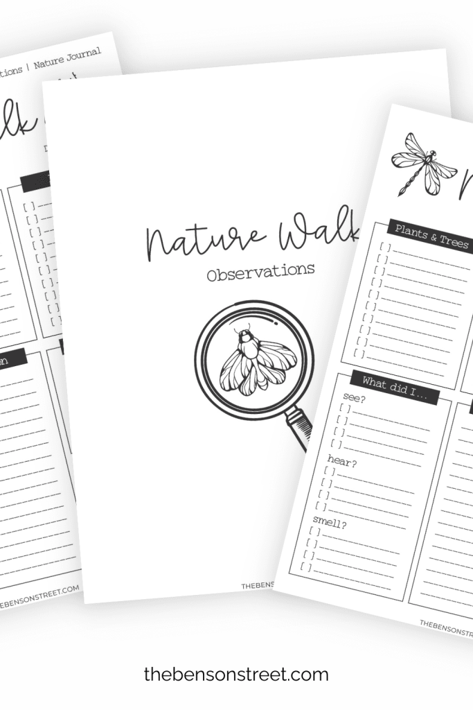 Free Printable Nature Walk Observations Page for Kids