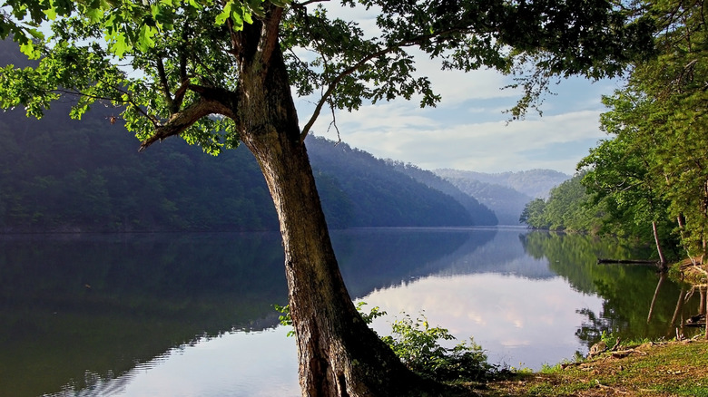 The Enchanting Town In Southwestern Virginia With A Thriving Downtown ...