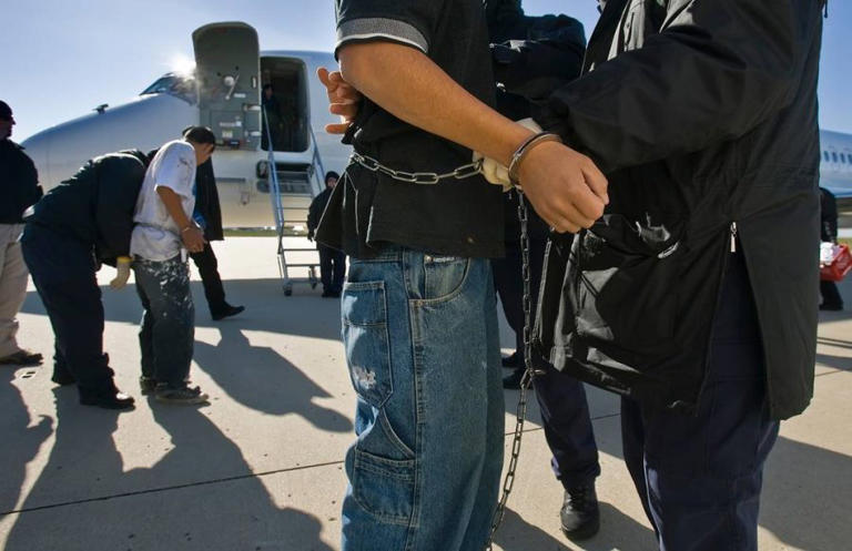 Private Airlines Are Making Billions on Deportations