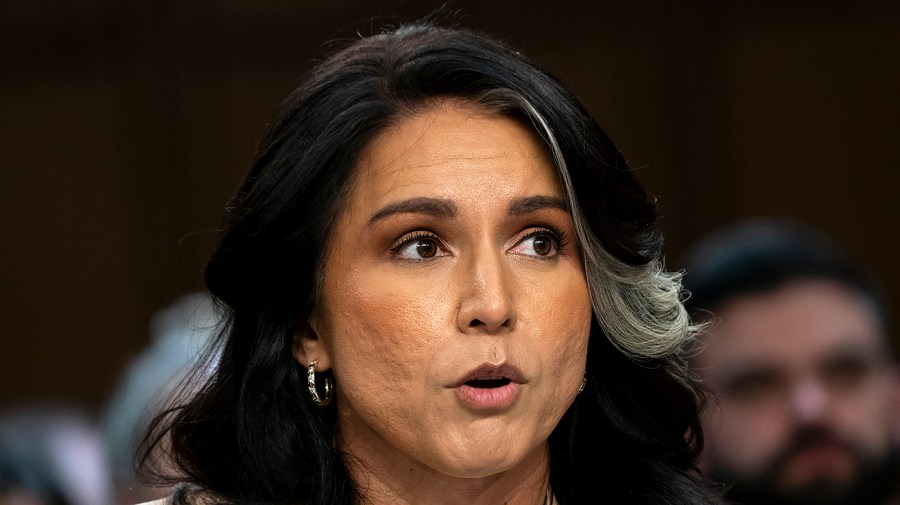 Gabbard fires top National Intelligence Council officials