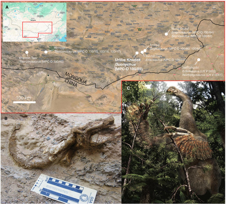 Giant claw unearthed in Mongolia belongs to a new species of two ...
